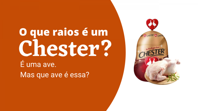 O que é Chester? Você sabe que ave é essa?